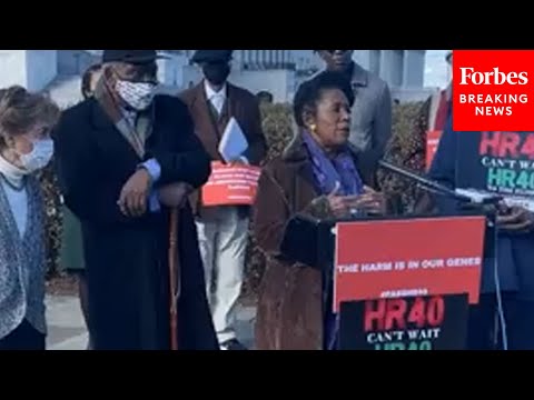 'We Will Begin To Heal': Dems Advocate For Reparations For African-Americans