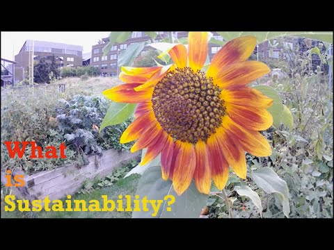 What is Sustainability - Cascadia College/UWB