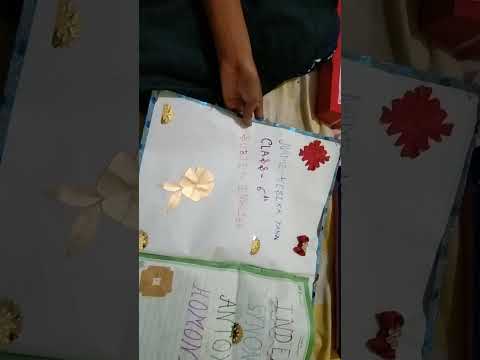 class 6 english project synonyms antonyms homonyms
