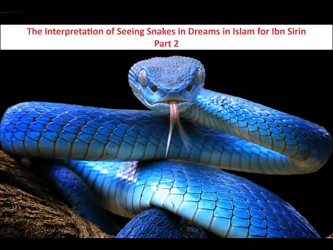 The Interpretation of Seeing Snakes in Dreams in Islam for Ibn Sirin Part 2
