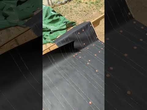 IT'S GOING TO RAIN!!! (roofing not done yet)