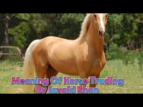 Meaning Of Horse Trading In Politics