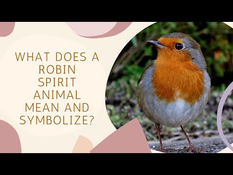 What Does A Robin Spirit Animal Mean and Symbolize?