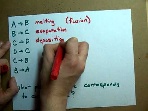 What Phase Change is Happening in the Phase Diagram?