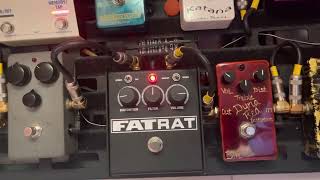 Pro Co Fat Rat - What To Know & Where To Buy | Equipboard