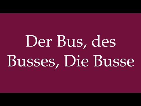 How to Pronounce ''Der Bus, des Busses, Die Busse'' Correctly in German