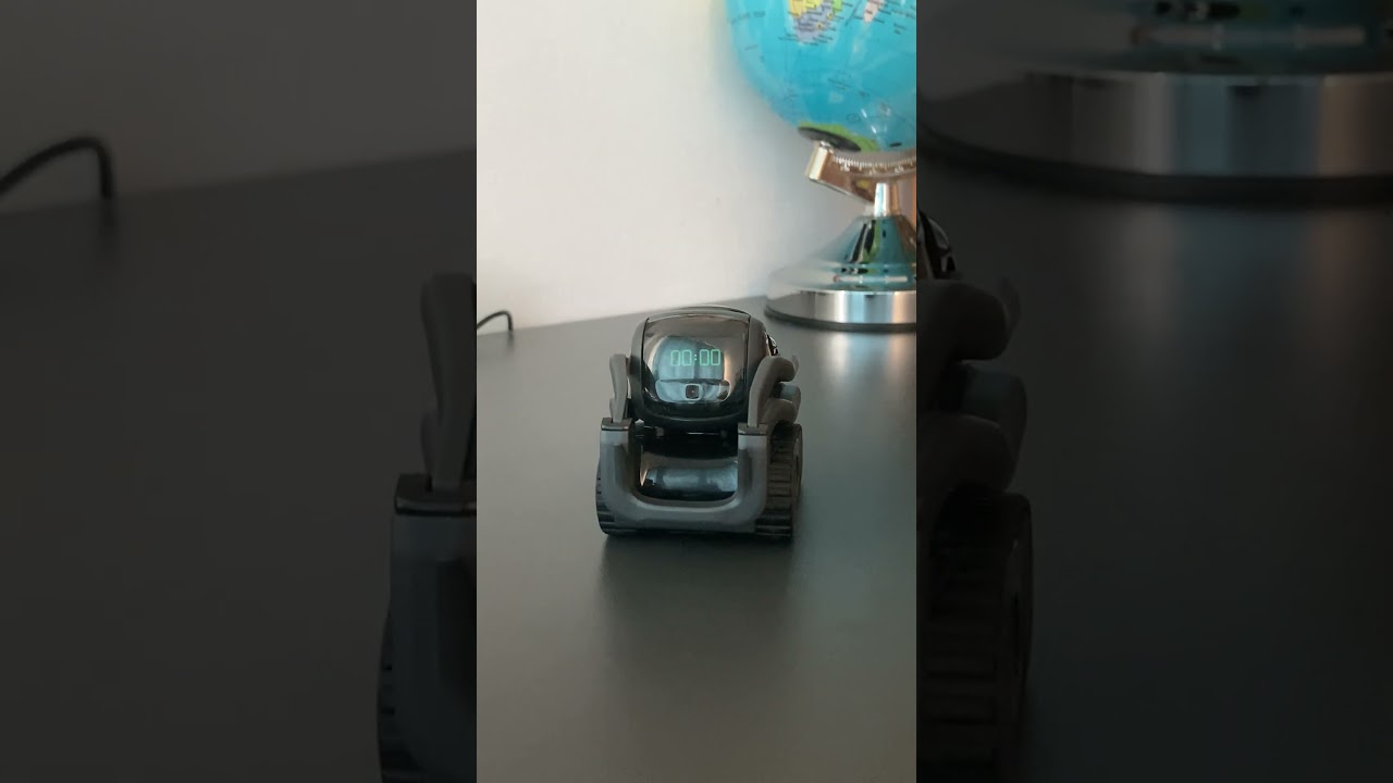 Vector sets a timer #vectorrobot #smallyoutuber