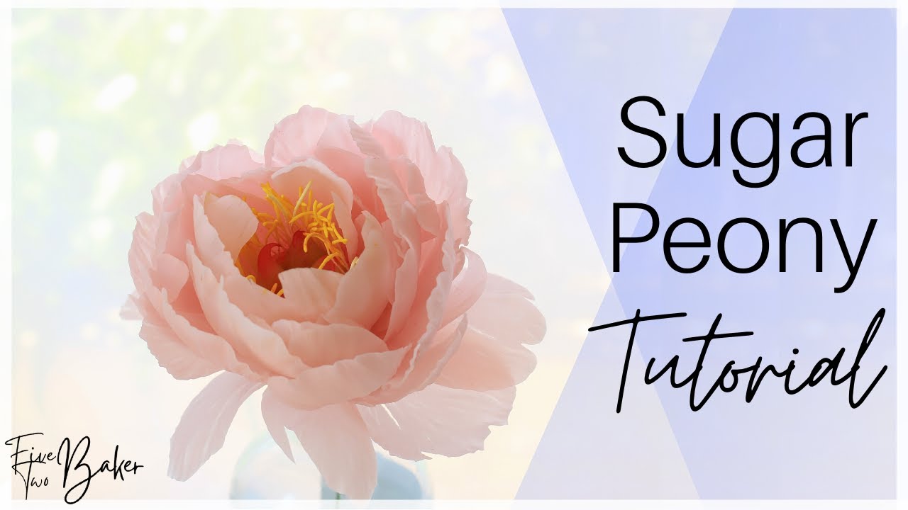 Sugar Peony Tutorial ⎸Realistic Gumpaste Peony for Cake Decorating