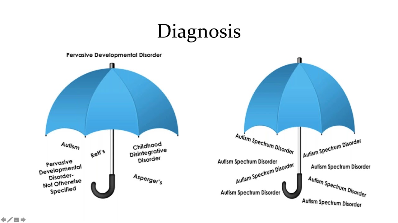 Supporting College Students with Autism Spectrum Disorder