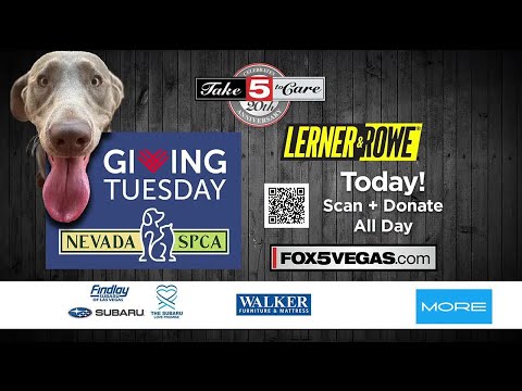 Giving Tuesday to help NSPCA