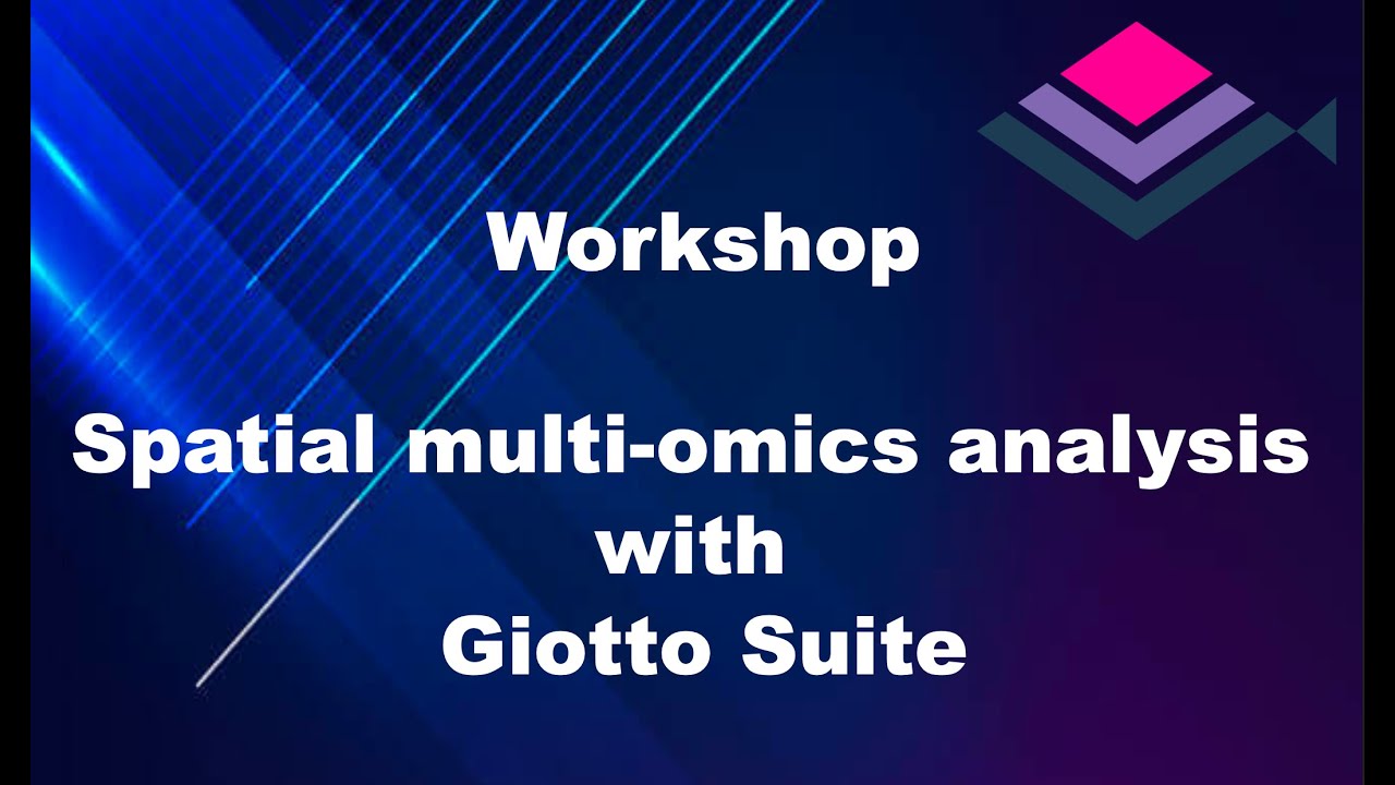 Giotto workshop 2024: Xenium