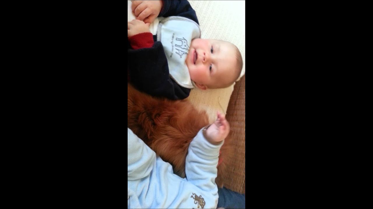 20121202_143700.mp4