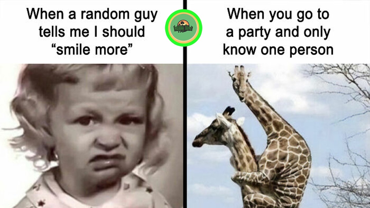 Silly Memes That Are Way Too Relatable