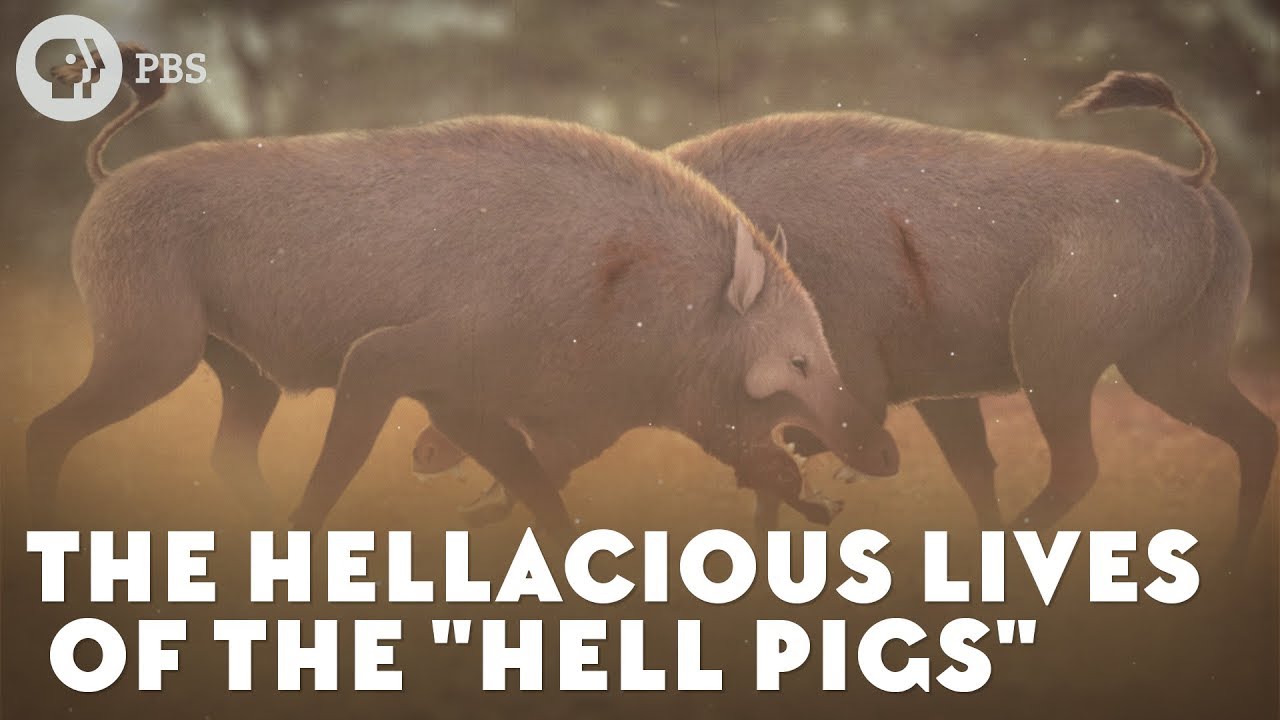 The Hellacious Lives of the 