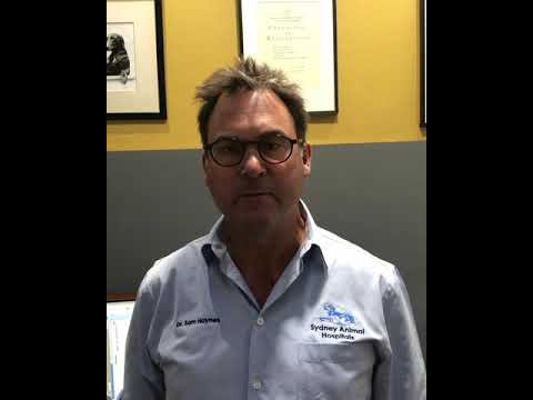 Dr Sam Haynes on Leptospirosis