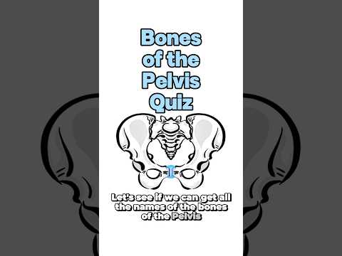 Bones of the Pelvis Anatomy Quiz: Test Your Anatomy Knowledge!