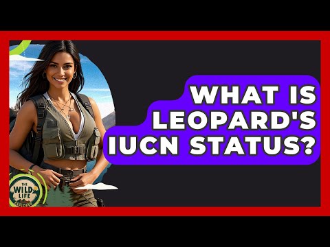 What Is Leopard's IUCN Status? - The Wild Life Explorer