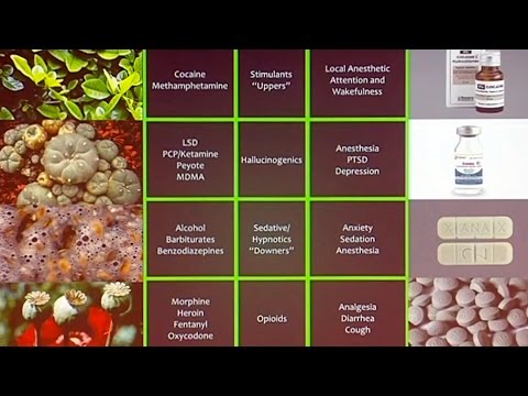 DEA Drug Scheduling is Arbitrary - The Controlled Substances Act (1973)