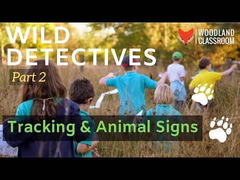 Wild Detectives: Tracking & Animal Signs