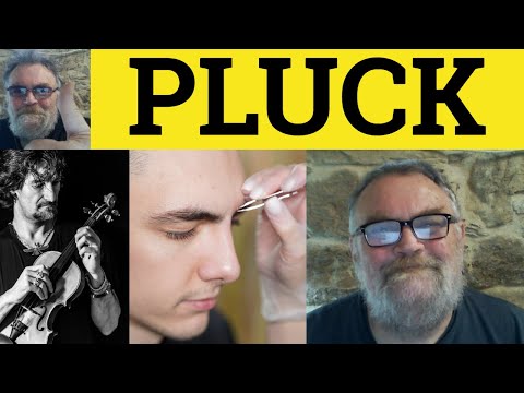 π΅ Pluck Meaning - Pluck Examples - Plucky Defined - Pluck Up Courage Pluck From the Air - Pluck