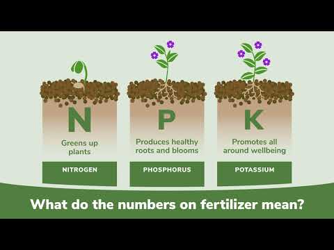 NPK Explained