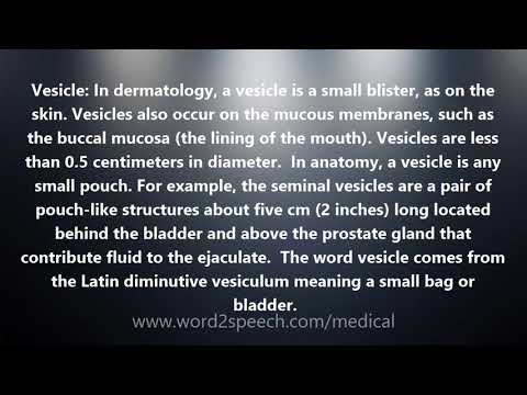 Vesicle - Medical Meaning and Pronunciation