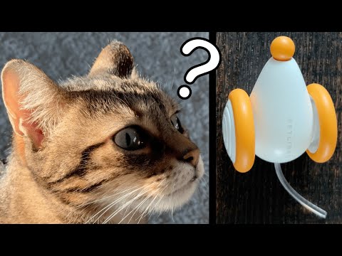 I Like It, But My Cats Don't! β The Petlibro Pixie Mouse Interactive Cat Toy ππ±