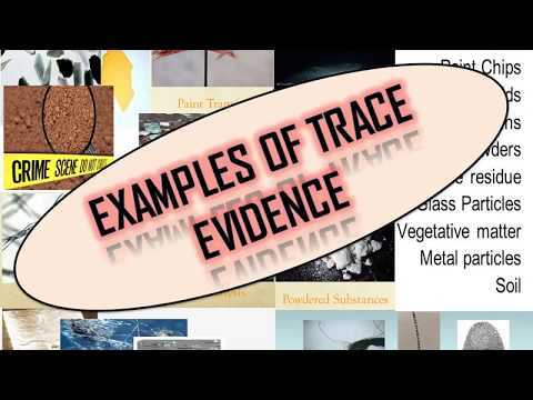 Examples of Trace Evidence(easy notes)