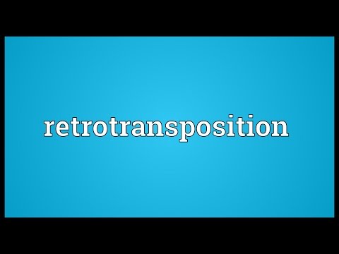 Retrotransposition Meaning