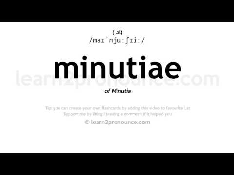 Pronunciation of Minutiae | Definition of Minutiae