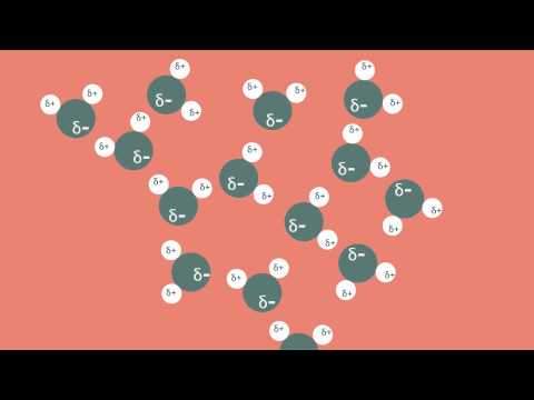 Polar Bonds and Molecules