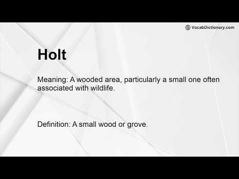 Holt Meaning