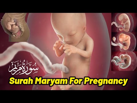 Surah Maryam For Pregnancy Beautiful Recitation Listen Quran Recitation Daily in Pregnancy
