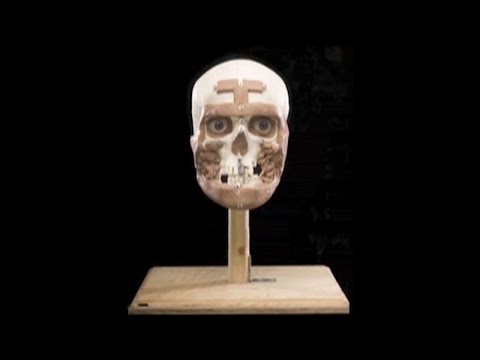 Great Job! Forensic Reconstruction Artist (Accessible Preview)
