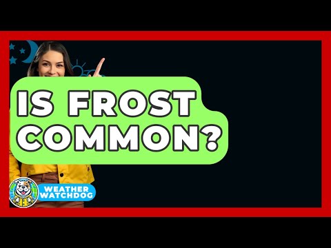 Is Frost Common? - Weather Watchdog
