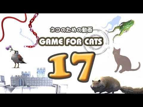 γη«η¨εη»MIX17γγγΊγγ»γ²γγ»γ¨γγ»γ«γ¨γ« 30ε GAME FOR CATS 17