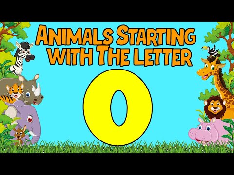 Animals Starting with "O" | Kids Learn | English Vocabulary