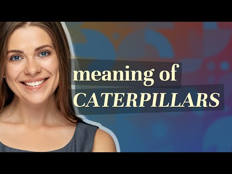 Caterpillars | meaning of Caterpillars