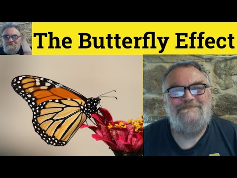 🔵Butterfly Effect Meaning - Butterfly Effect Definition - Butterfly Effect Examples Butterfly Effect