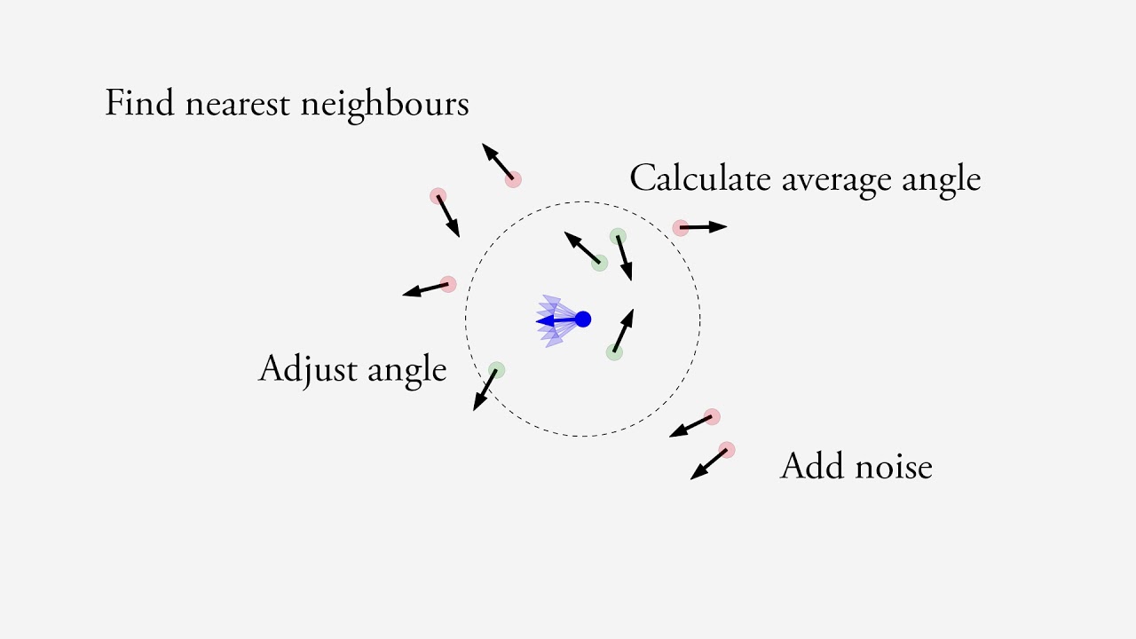 Active Matter: Modelling swarming behaviour using the Vicsek model