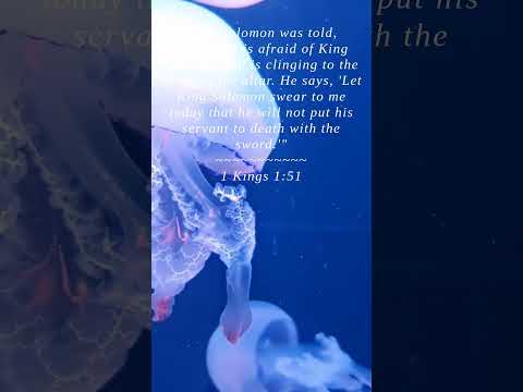 Bible | 1 Kings 1:51 | Then Solomon was told Adonijah...