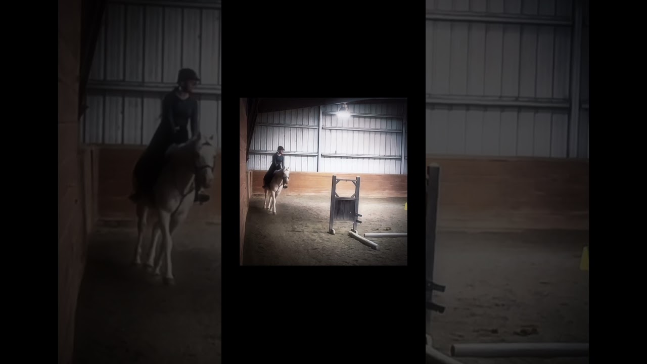 Insert interesting caption