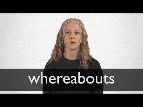 WHEREABOUTS definition and meaning | Collins English Dictionary