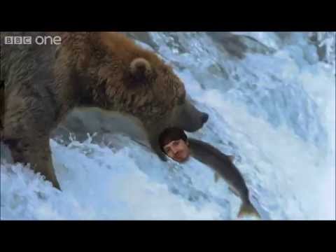 Steam Community :: Video :: An Tribute to Salmon Boy.