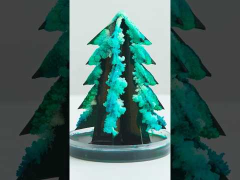 Grow a Crystal Tree OVERNIGHT! ????