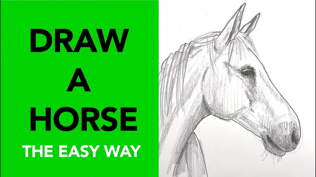 How to Draw a Horse (Simple, Beginner-Friendly)