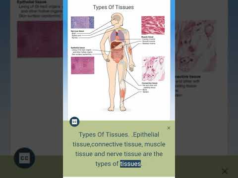 HUMAN BODY||TYPES OF TISSUES