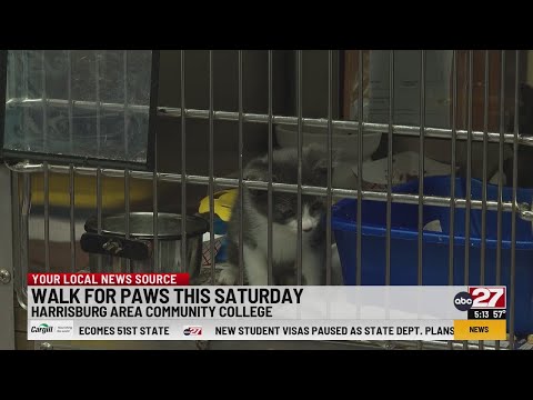 Humane Society of Harrisburg Area gears up for second annual Walk for Paws