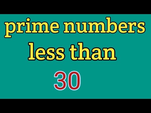 write all prime numbers less than 30