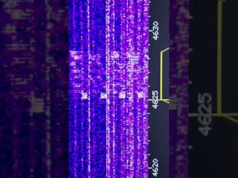 UVB-76 "The buzzer" Signal caught live ! 4625 khz AM 04-06-2025 22:06 PM